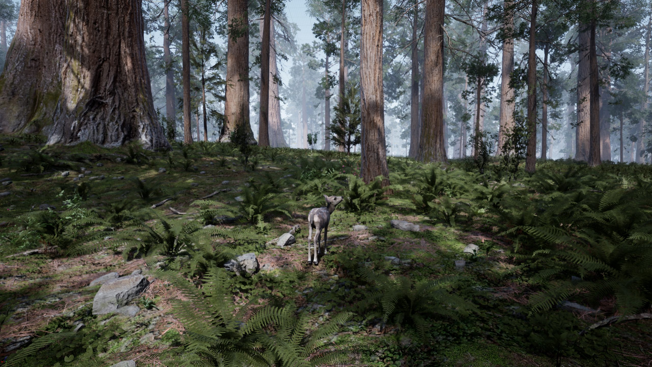 Grant Stevens, Fawn in the Forest 2020 - Buxton Contemporary