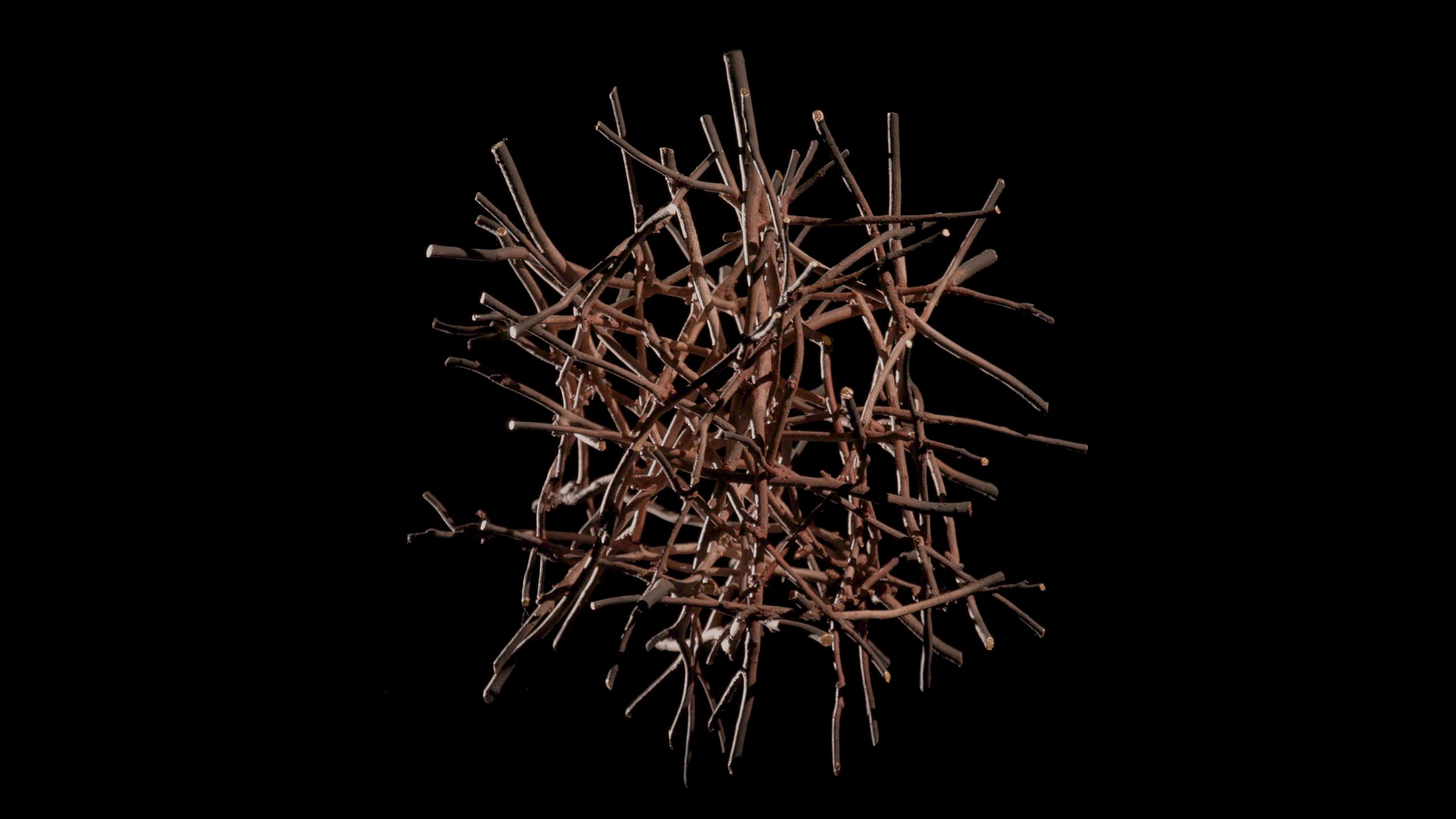 Hossein & Nassiem Valamanesh, What Goes Around 2021 - Buxton Contemporary