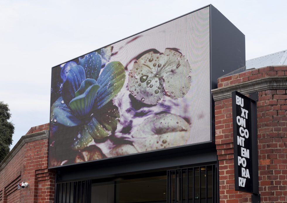Big Screen - Past | Buxton Contemporary Art Museum