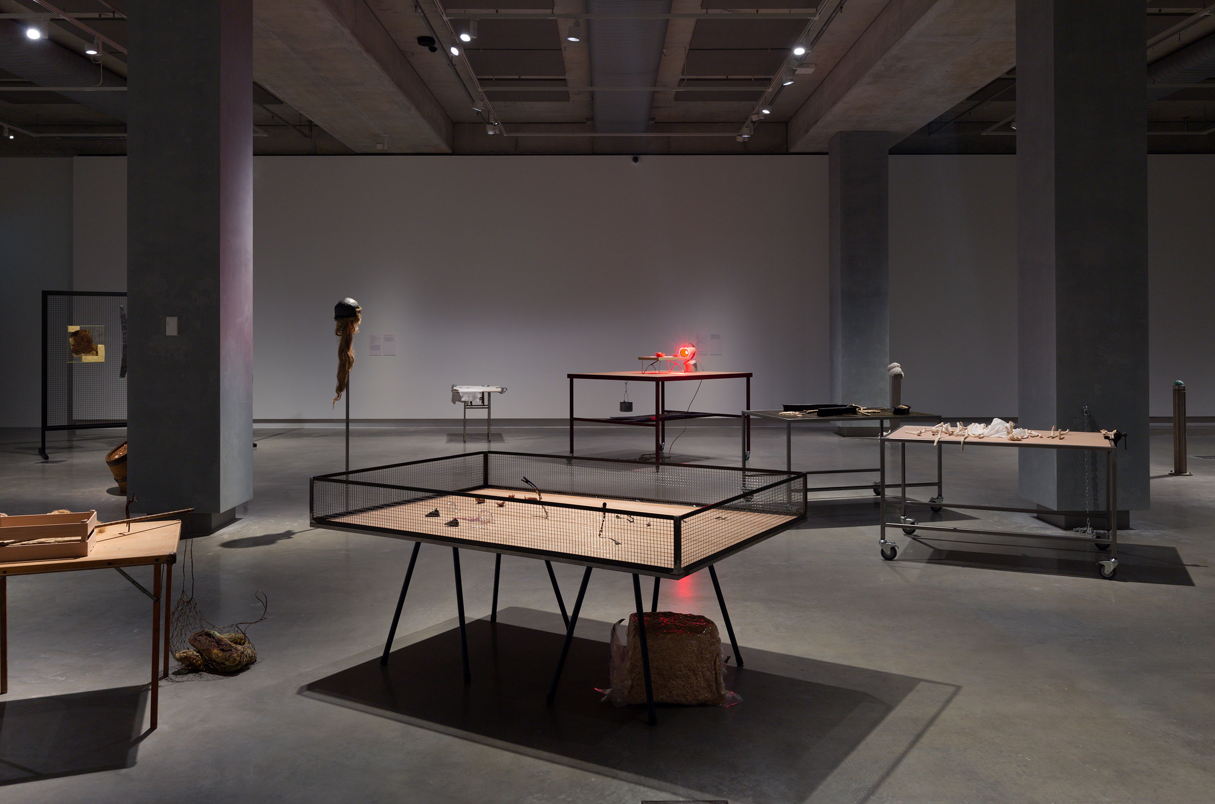 SUSAN JACOBS: THE ANTS ARE IN THE IDIOM - Buxton Contemporary Art Museum